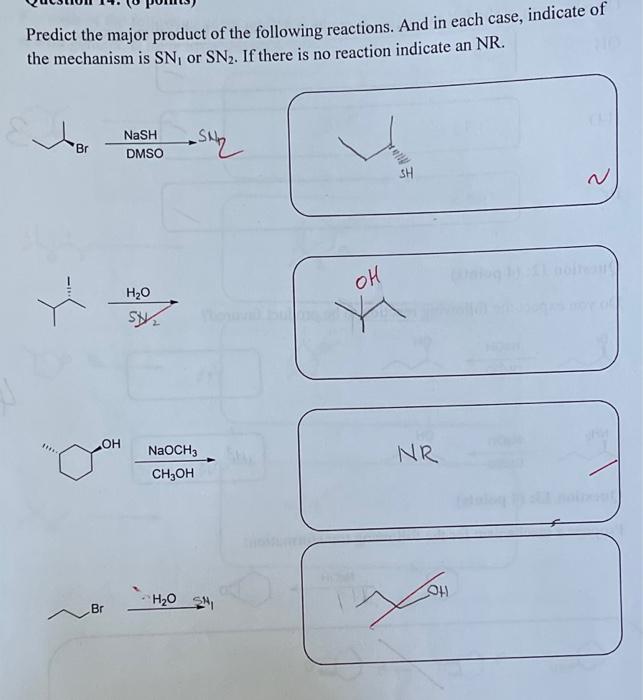 Solved Predict the major product of the following reactions. | Chegg.com