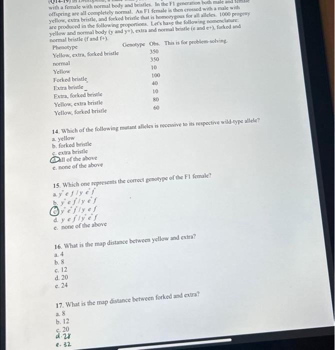 Solved with a female with normal body and bristles. In the | Chegg.com