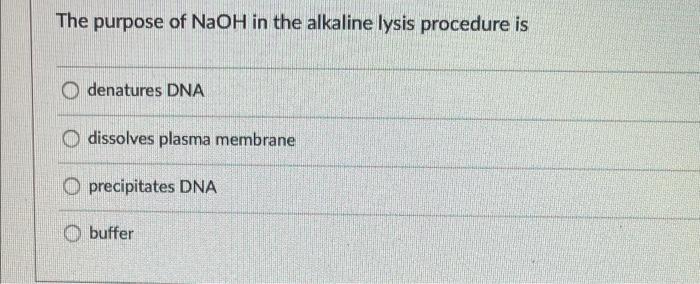 Solved The purpose of NaOH in the alkaline lysis procedure | Chegg.com