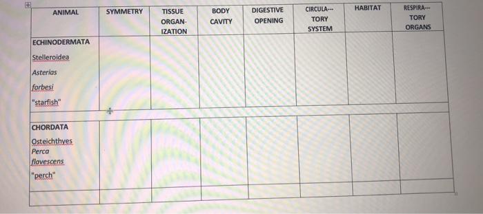 Solved ANIMAL SYMMETRY HABITAT TISSUE ORGAN IZATION BODY | Chegg.com