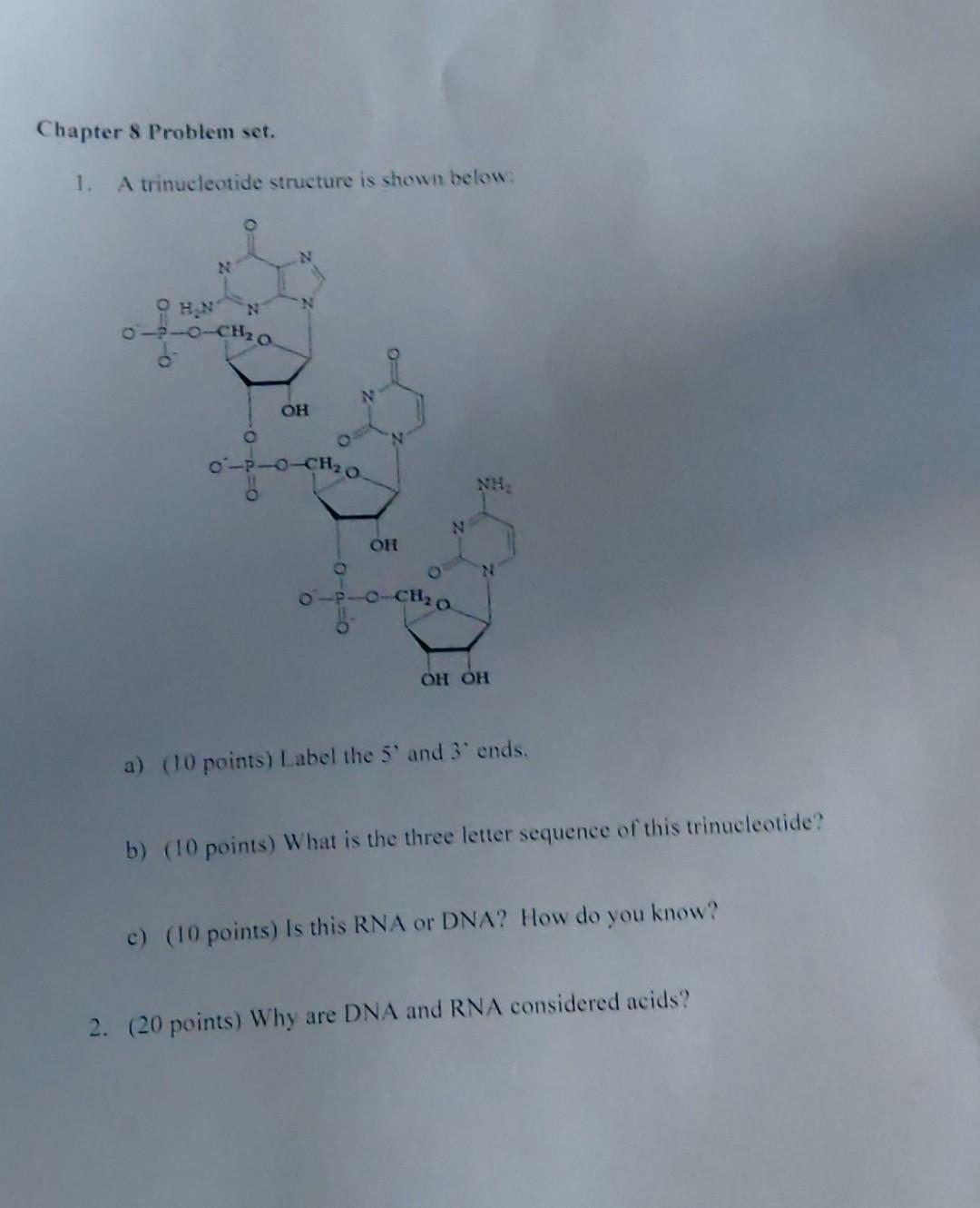 Solved Chapter 8 Problem set. 1. A trinucleotide structure | Chegg.com