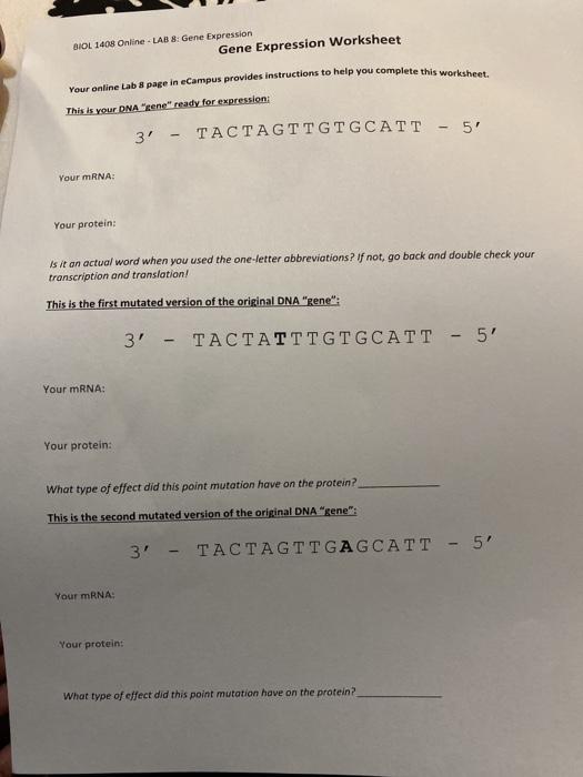 Solved BIOL 1408 Online - LAB 8: Gene Expression Gene | Chegg.com