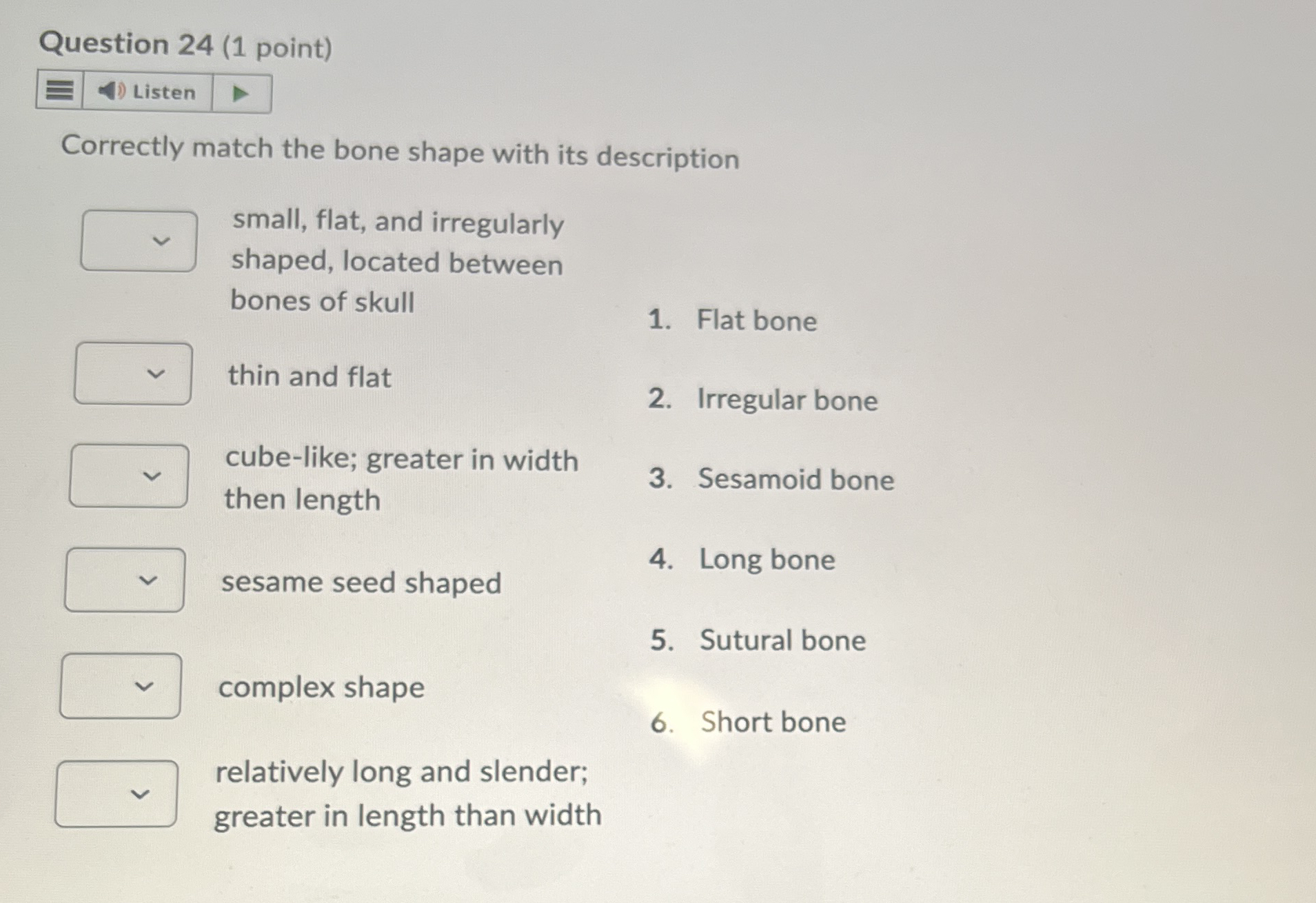 Question 24 (1 ﻿point)ListenCorrectly match the bone | Chegg.com