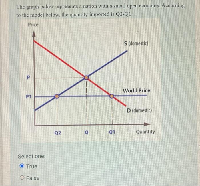 Solved The graph below represents a nation with a small open | Chegg.com