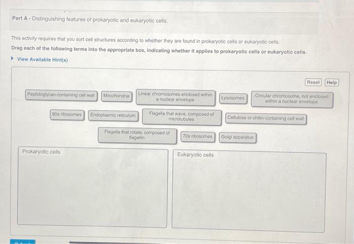 Solved Part A - Distinguishing features of prokaryotic and | Chegg.com
