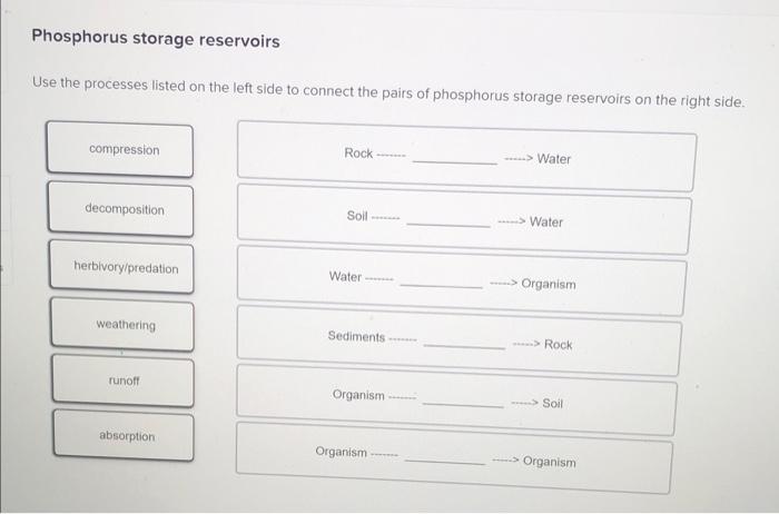 Solved Phosphorus storage reservoirs Use the processes | Chegg.com
