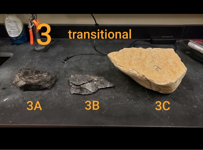 Solved transitional ЗА ЗВ 30 Environment 3 For clastic | Chegg.com