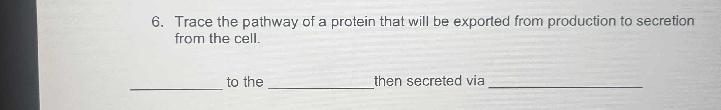 Solved Trace the pathway of a protein that will be exported | Chegg.com