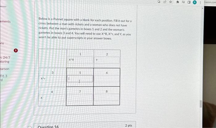 Solved Below is a Punnet square with a blank for each | Chegg.com