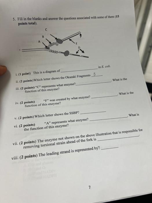 Solved 5. Fill in the blanks and answer the questions | Chegg.com