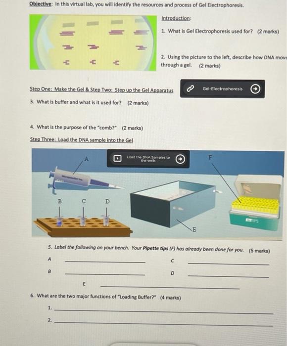 Solved Subtopic 3.2 DNA Technology 1. How are genetic | Chegg.com