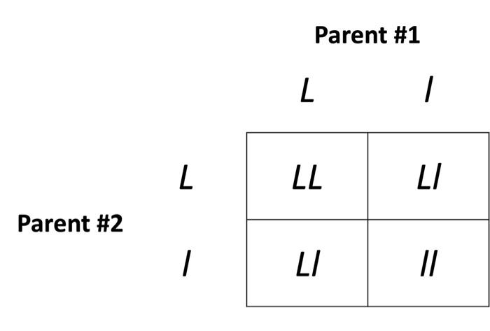 Solved Parent #1 | Chegg.com