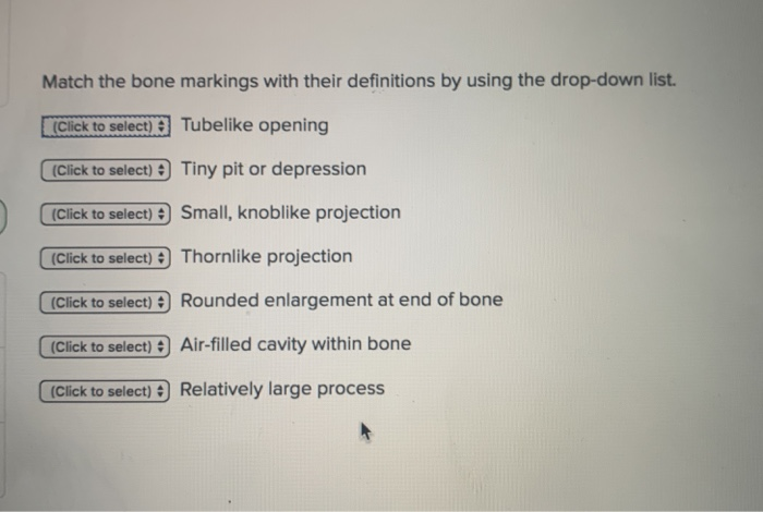 Match the bone markings with their definitions by | Chegg.com