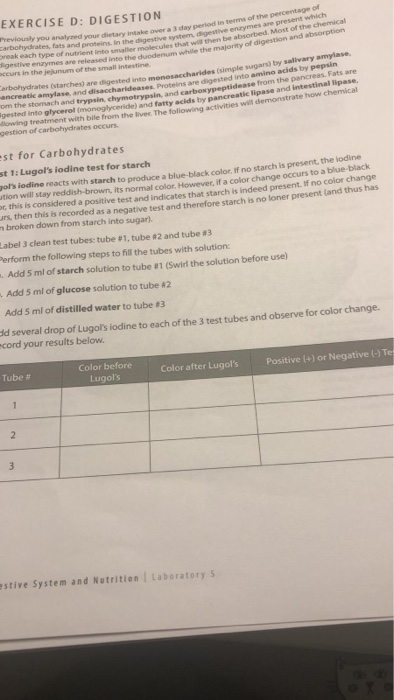 Solved carbohydrates, fats and proteins. In the digestive | Chegg.com