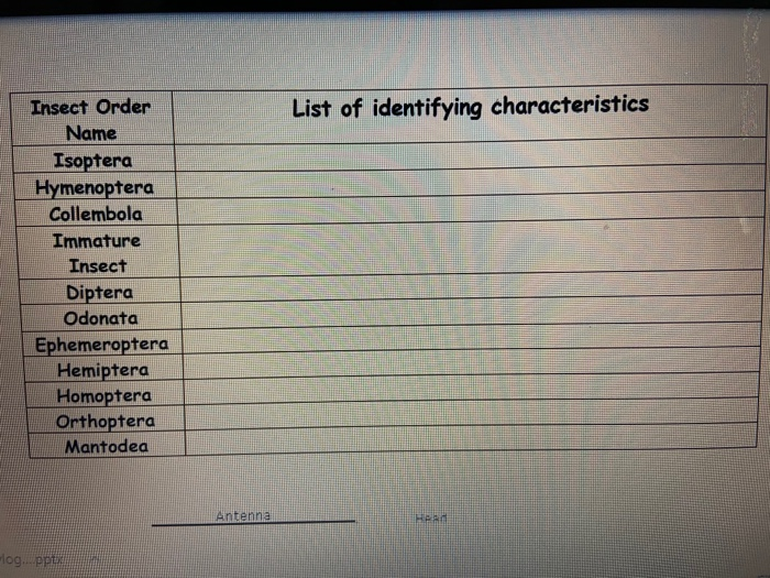 Solved List of identifying characteristics Insect Order Name | Chegg.com