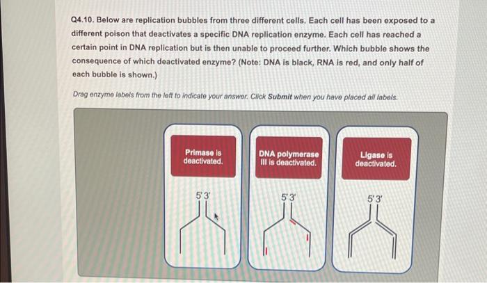 Solved Q4.10. Below are replication bubbles from three | Chegg.com