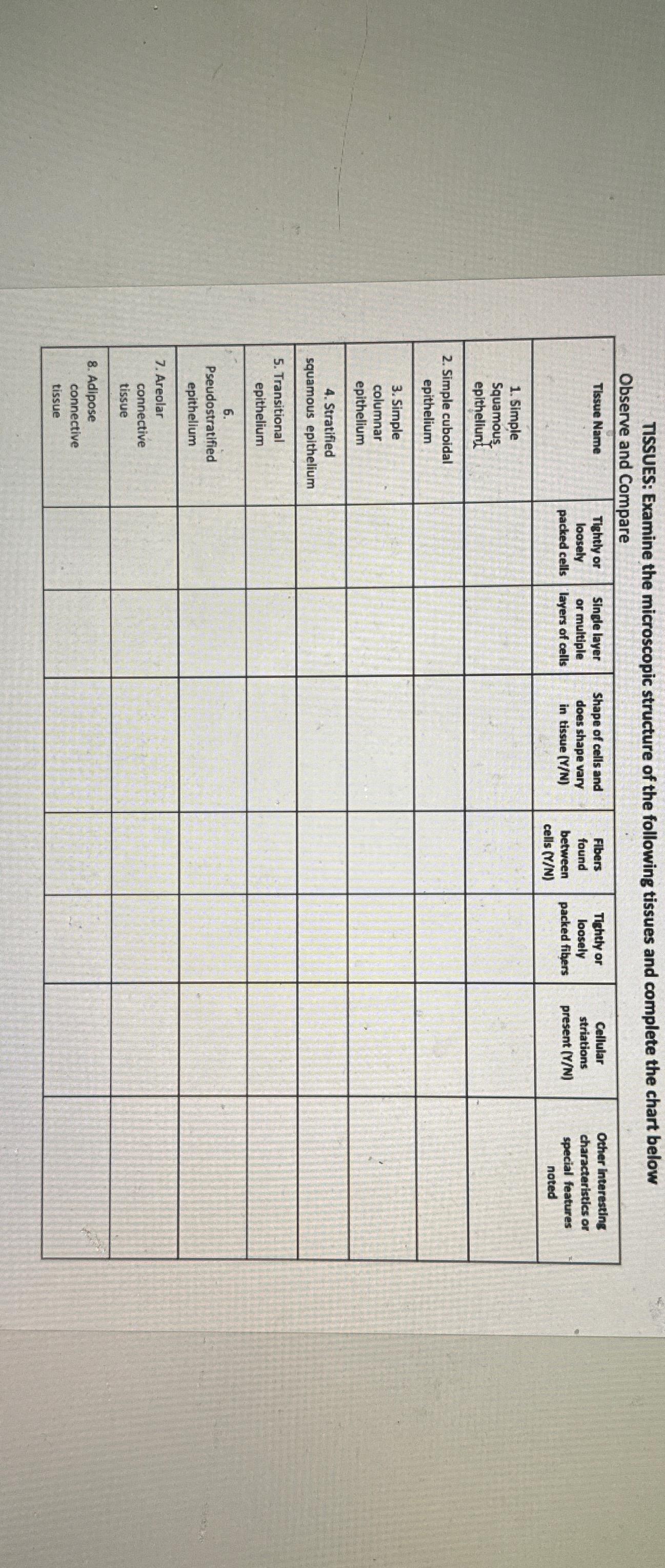 Solved Please help complete chart for bio tissue lab report | Chegg.com