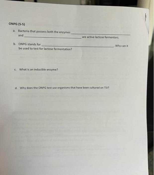 Solved a. Bacteria that possess both the enzymes and are | Chegg.com