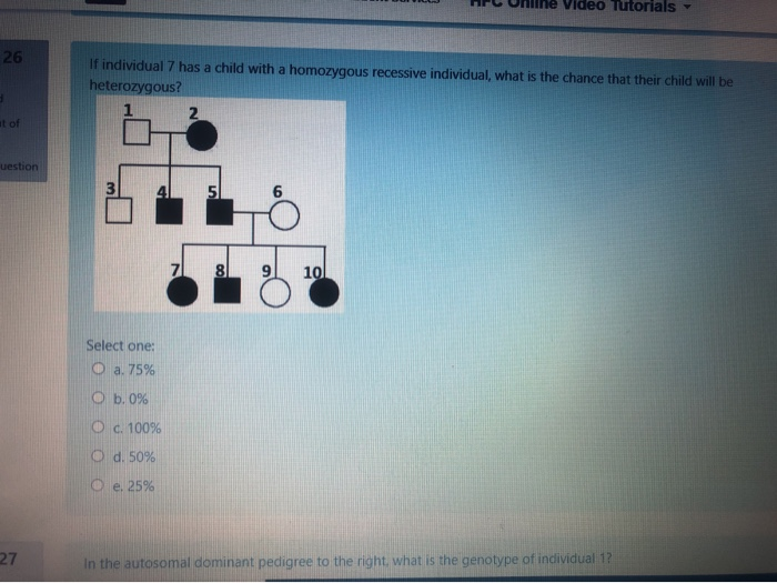 Solved n24 What does the UGG codon code for? ed Select one: | Chegg.com