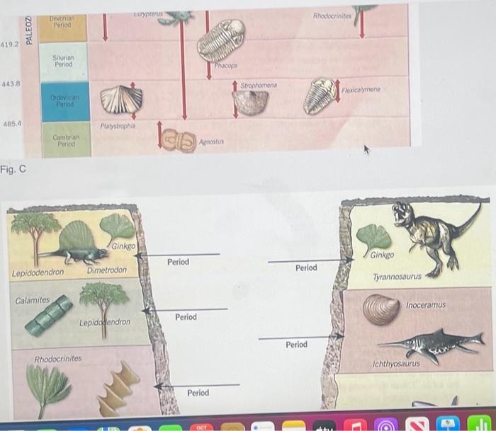 Solved Fig. D. Using Fig. C as reference, determine the | Chegg.com