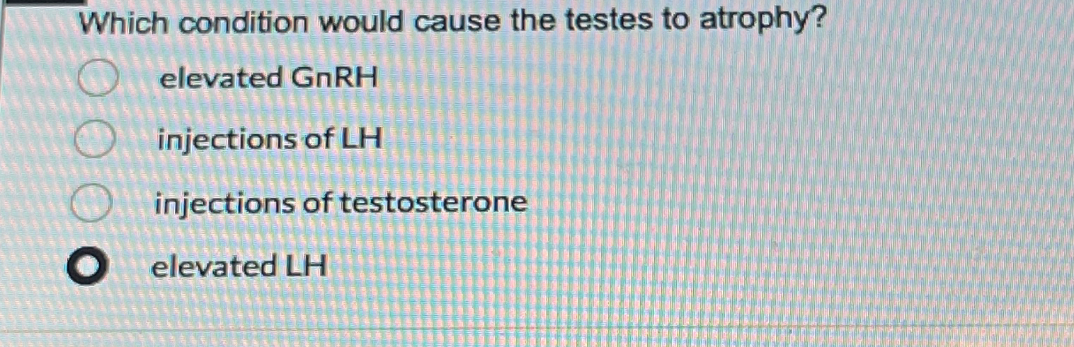 Solved Which condition would cause the testes to | Chegg.com