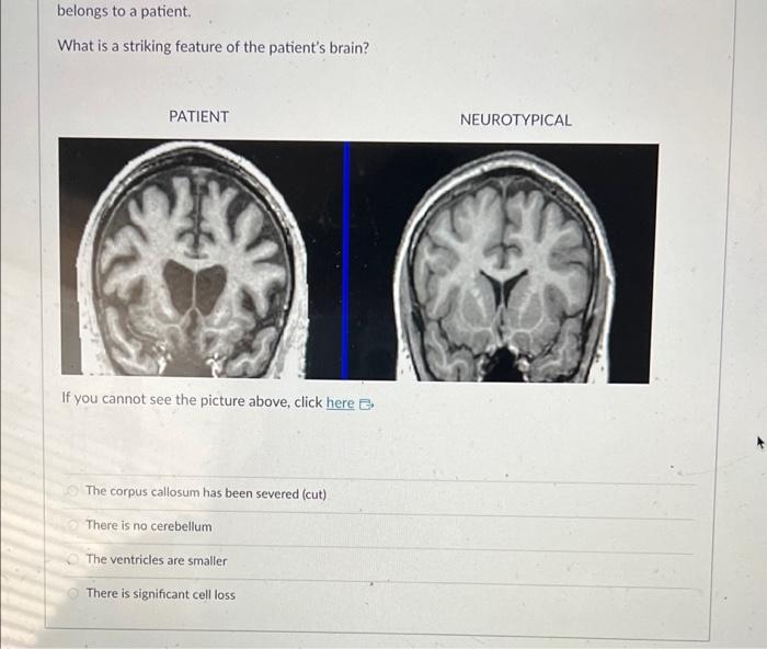 [Solved]: help asap If you cannot see the picture above, cli