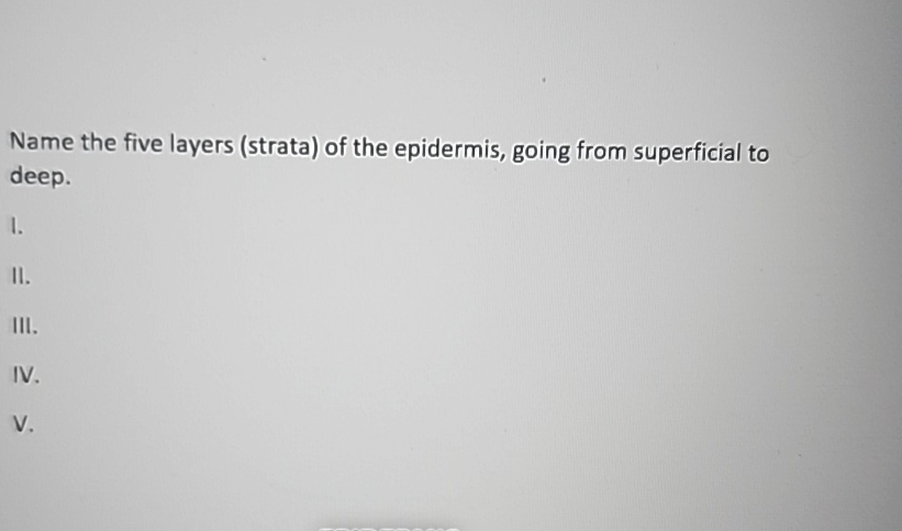 Solved Name the five layers (strata) ﻿of the epidermis, | Chegg.com