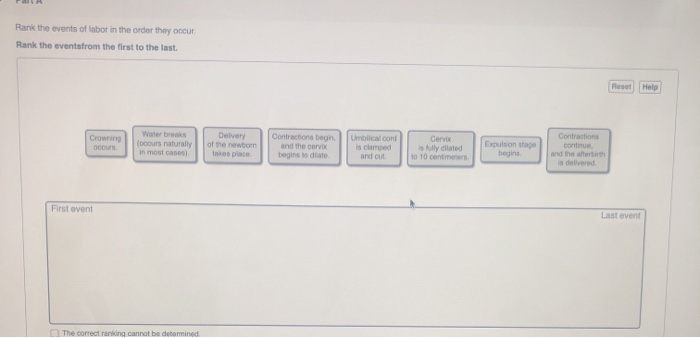 Solved Rank the events of labor in the order they occur Rank | Chegg.com