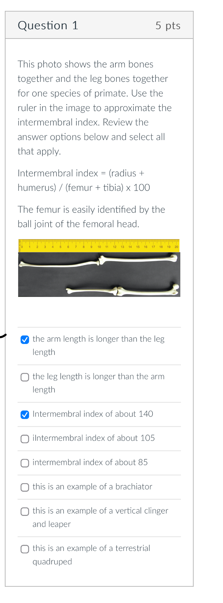 Solved Question 15 ﻿ptsThis photo shows the arm bones | Chegg.com