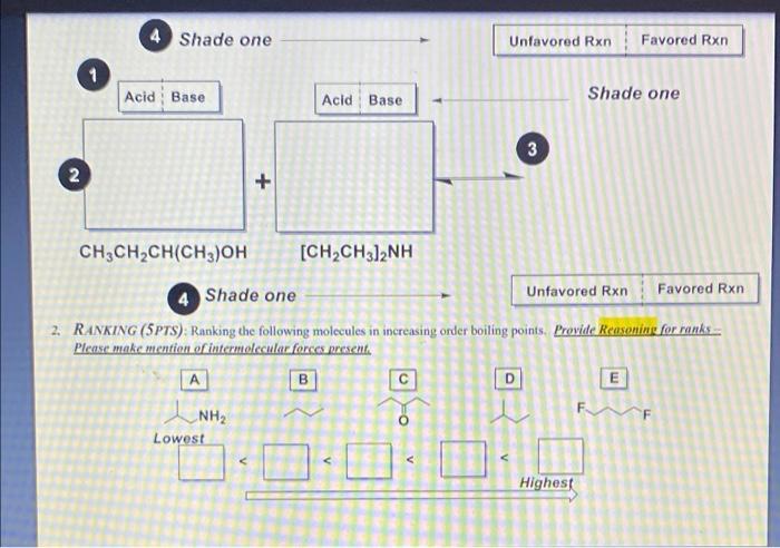 Solved 2 Acid Base (CH3)2CCHCH3 1 + 4 Shade one Acid Base 2 | Chegg.com