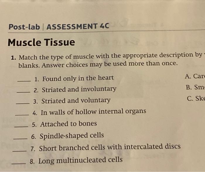 Solved Post-lab ASSESSMENT 4C Muscle Tissue 1. Match the | Chegg.com