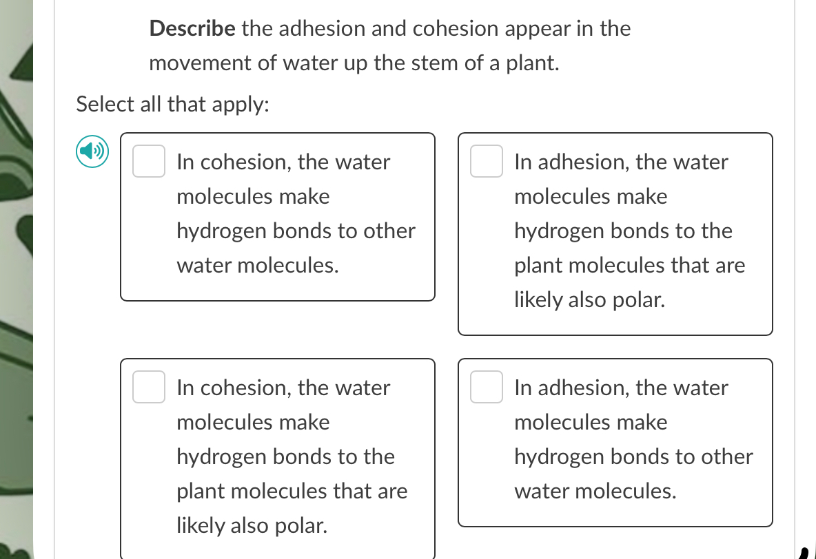 Solved Describe the adhesion and cohesion appear in the | Chegg.com
