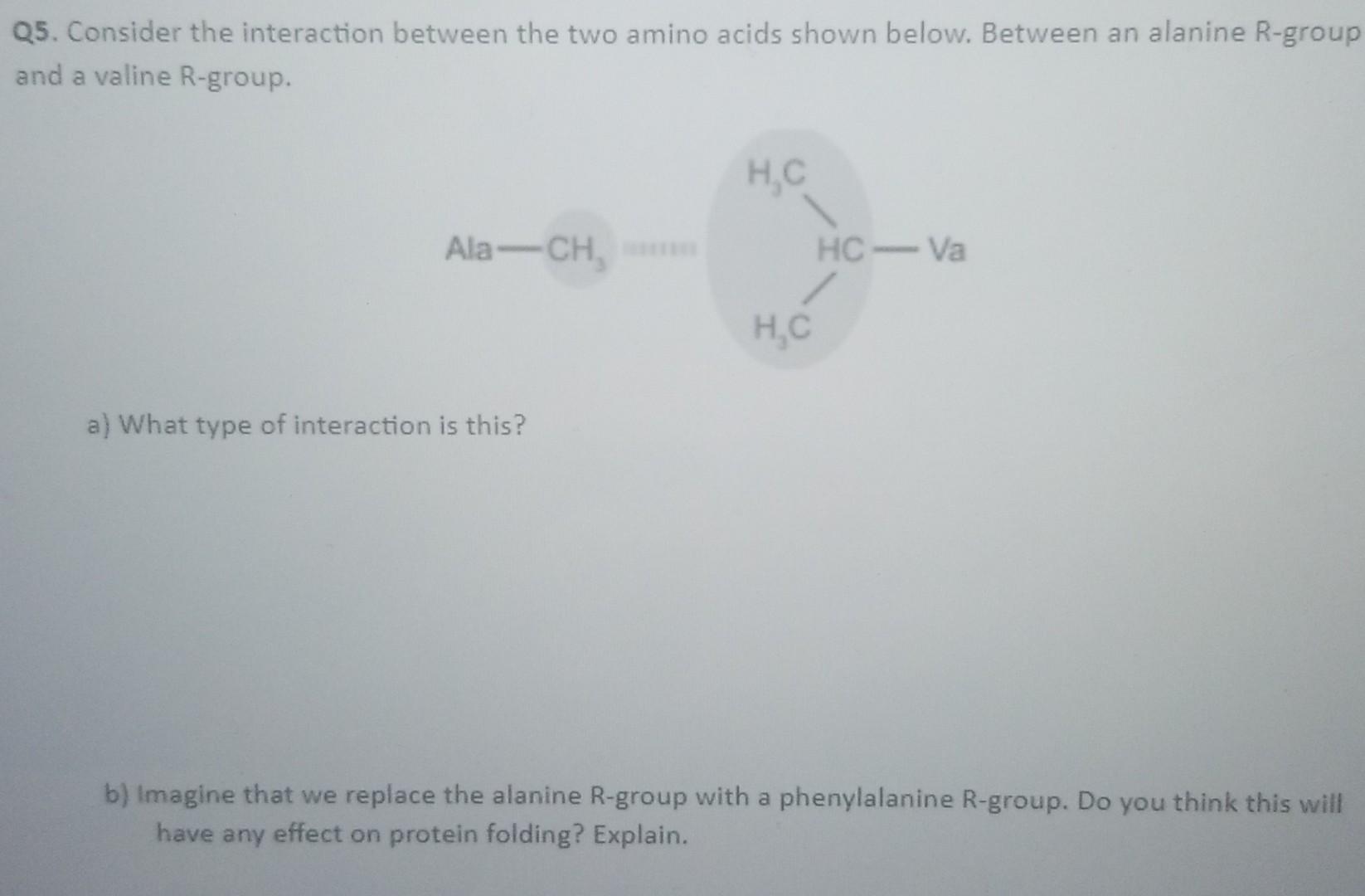 Solved Q5. Consider the interaction between the two amino | Chegg.com