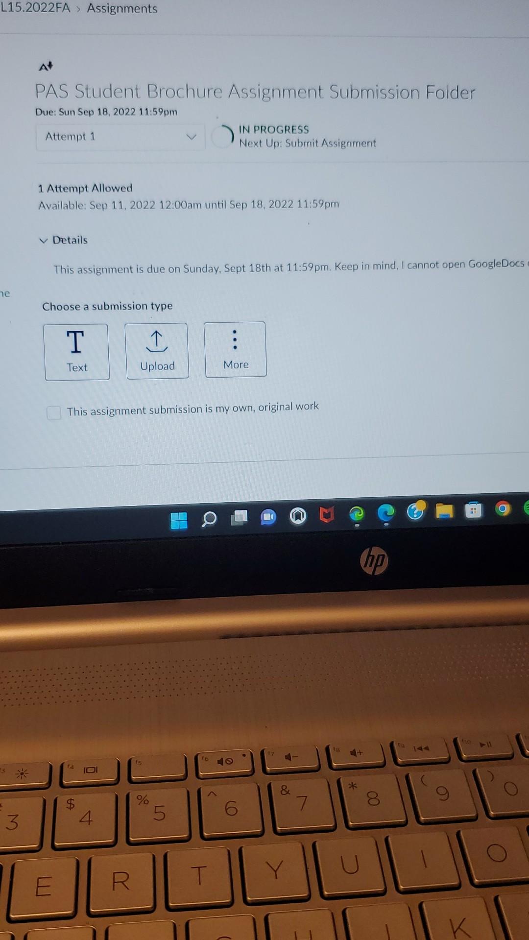 PAS Student Brochure Assignment Submission Folder | Chegg.com