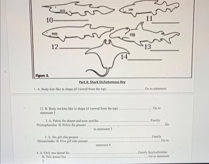 Solved Biology: Using and Making a Dichotomous Key | Chegg.com