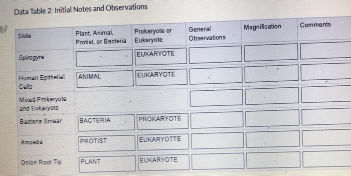 Data Table 2: Initial Notes and Observations | Chegg.com