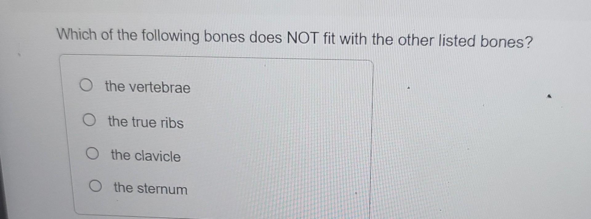 Solved Which of the following bones does NOT fit with the | Chegg.com