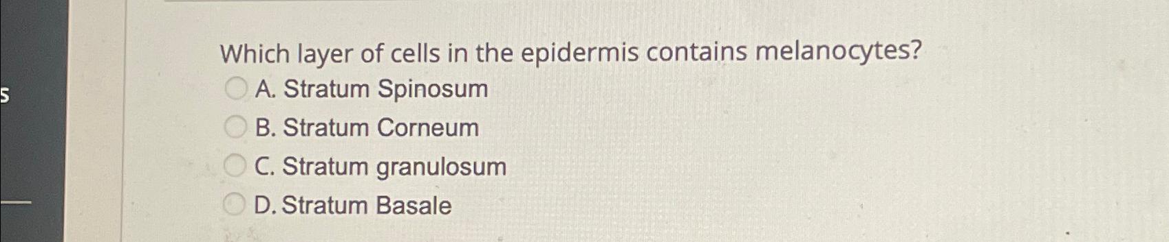 Solved Which layer of cells in the epidermis contains | Chegg.com