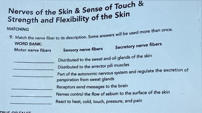 Solved Nerves of the Skin & Sense of Touch & Strength and | Chegg.com