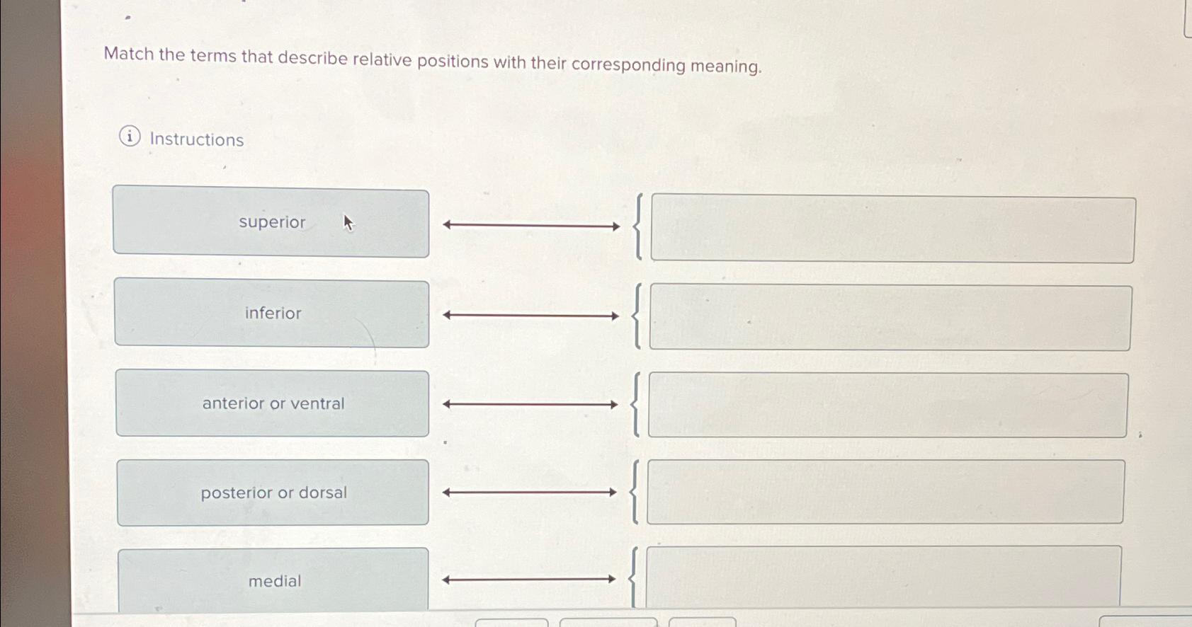 Solved Match the terms that describe relative positions with | Chegg.com