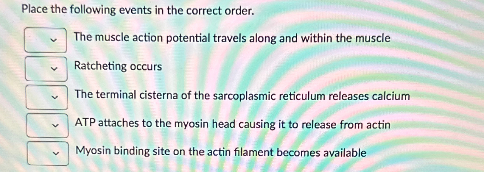 Solved Place the following events in the correct order. | Chegg.com