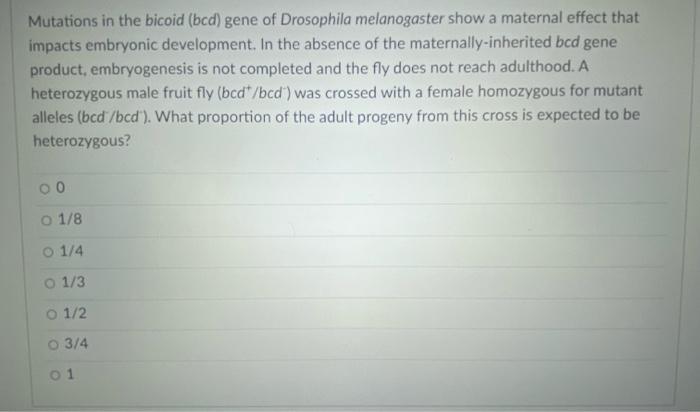 Solved Mutations in the bicoid (bcd) gene of Drosophila | Chegg.com