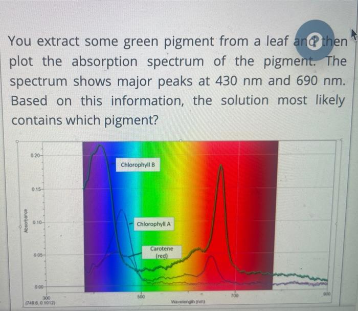 Solved You extract some green pigment from a leaf and then | Chegg.com