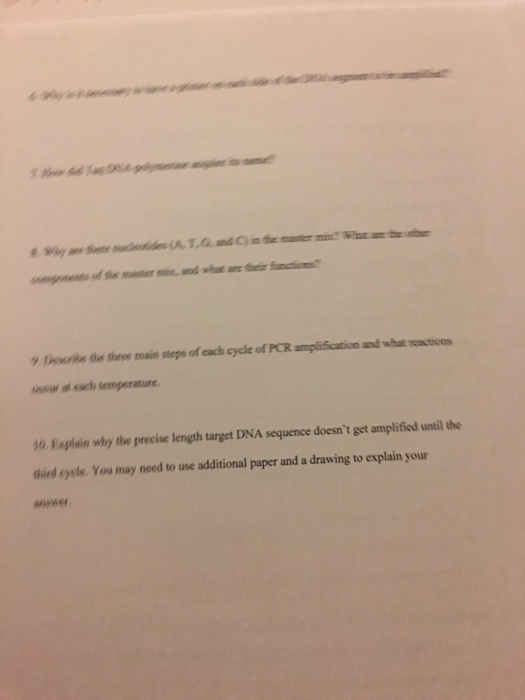 Described three main steps of each cycle of PCR | Chegg.com
