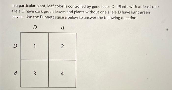 Solved In a particular plant, leaf color is controlled by | Chegg.com