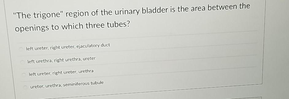 Solved "The trigone" region of the urinary bladder is the | Chegg.com