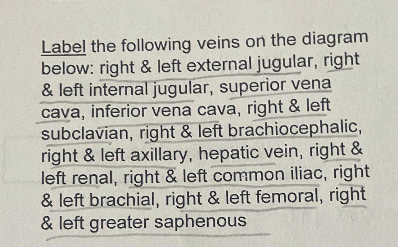 Solved Label the following veins on the diagram below: right | Chegg.com