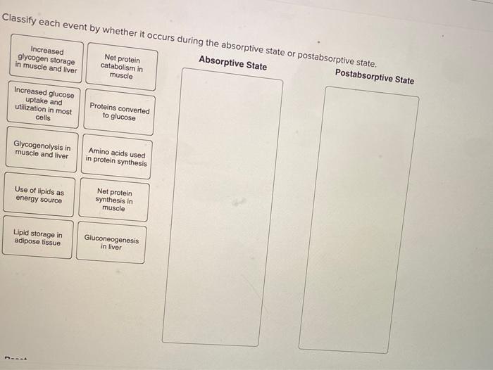Solved Classify each event by whether it occurs during the | Chegg.com