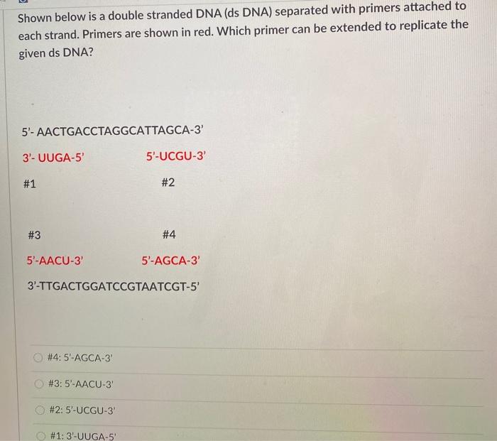 Solved Shown below is a double stranded DNA (ds DNA) | Chegg.com