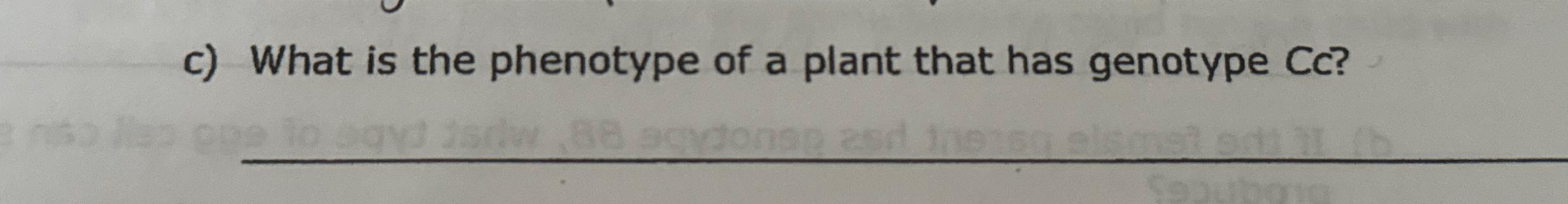 Solved c) ﻿What is the phenotype of a plant that has | Chegg.com